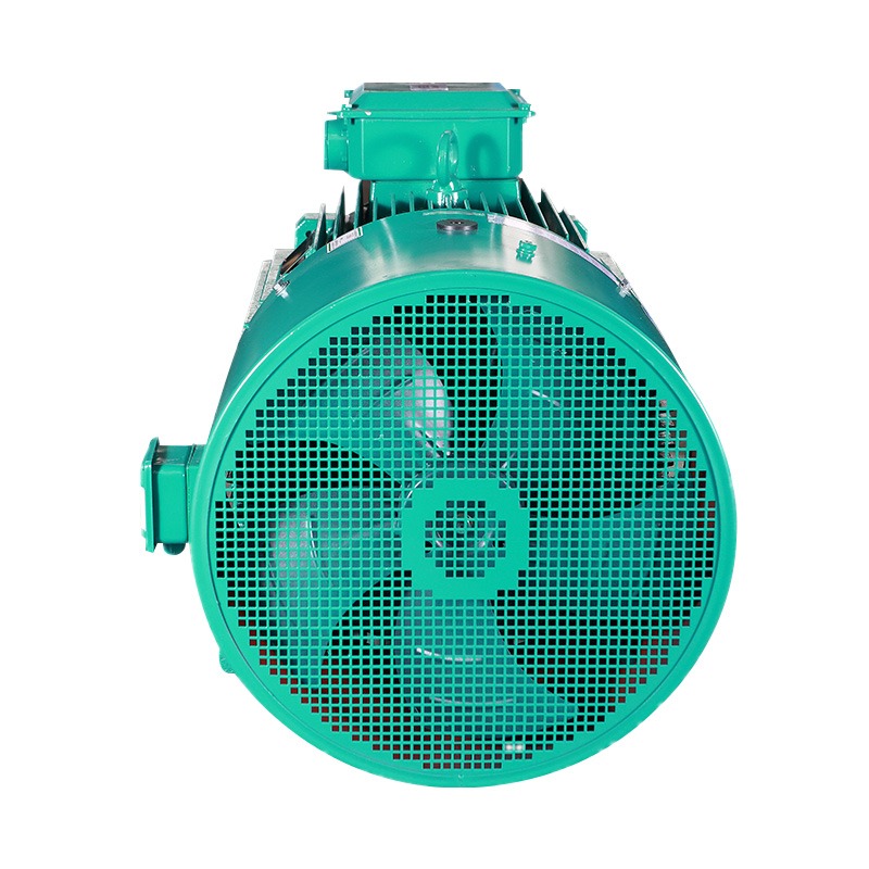 Custom High And Low Voltage Efficent Motor Solutions Manufacturers